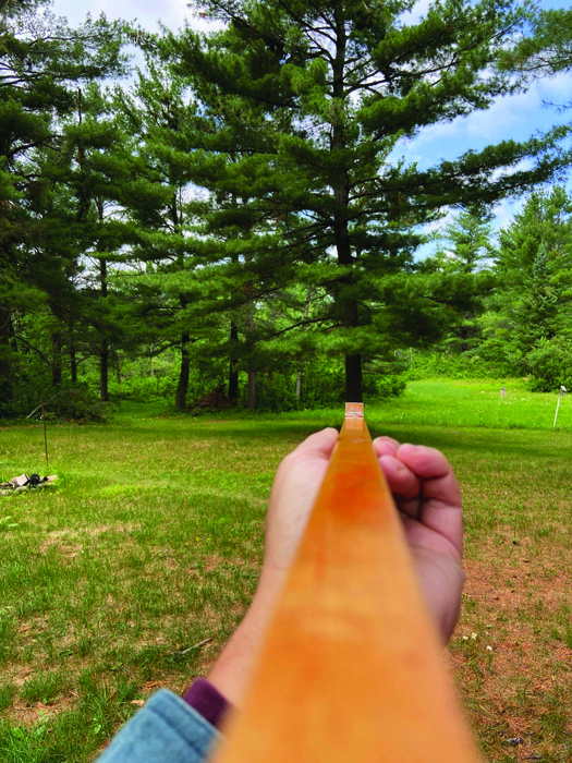 Forest Inventory Sampling Methods for the Woodlot - Grit